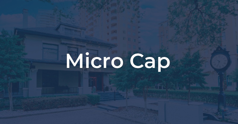 Hodges | Micro Cap Strategy