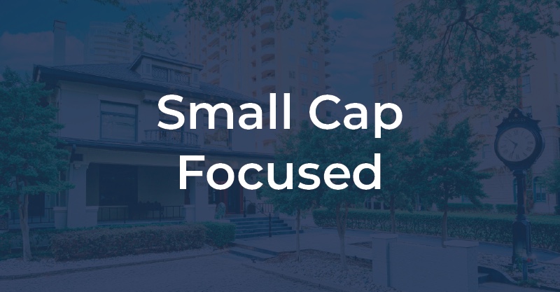 Hodges | Small Cap Focused